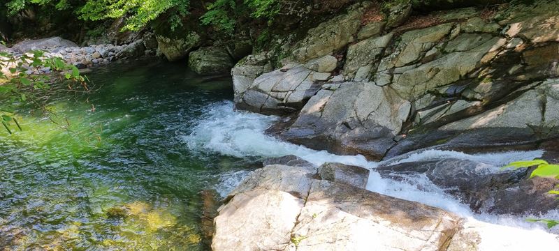 [정무영의 여행이야기] 지리산 칠선계곡… 금단의 비경, 최후의 원시림